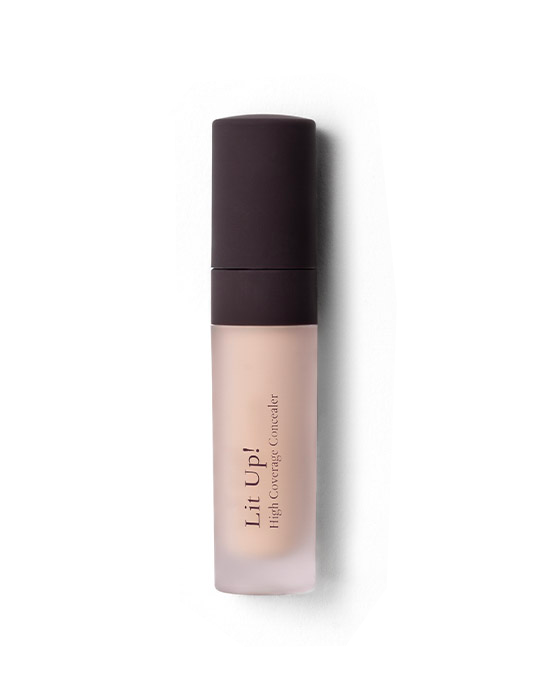 Lit Up! High Coverage Concealer – Vasanti Cosmetics - USA